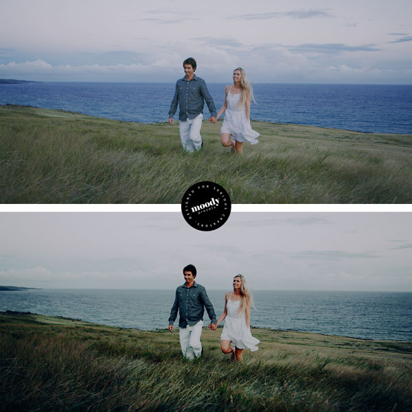 Premium Wedding LUTs- Pack of 66 LUTs – Moody LUTs