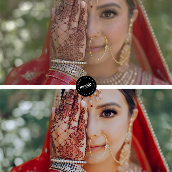 Premium Wedding LUTs- Pack of 66 LUTs – Moody LUTs